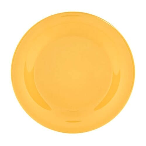 Melamine Shatterproof Plate - Blue - 8 Inch from Essential Aids
